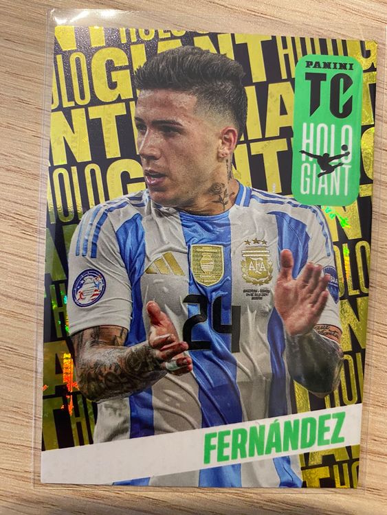 Panini Top Class 2025 Holo Giant Fernandez (Neu (gemäss Beschreibung ...