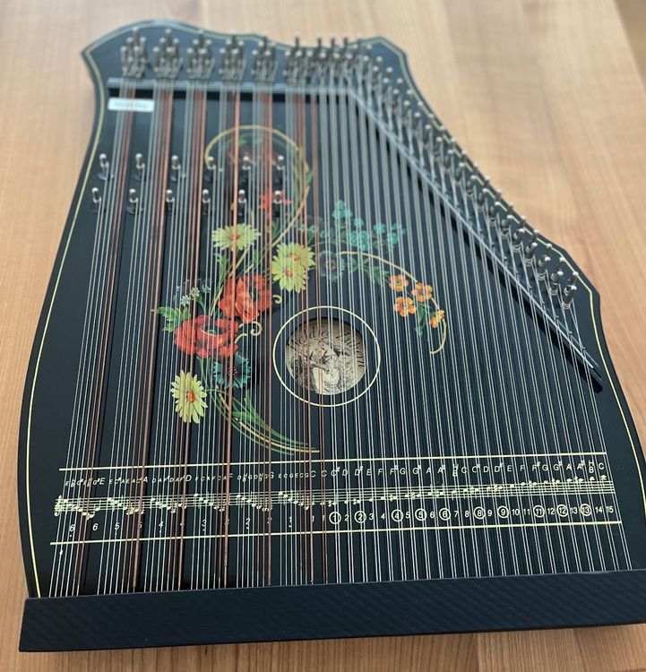 Zither Akkordzither Waldfee Zither (Neu (gemäss Beschreibung)) in ...