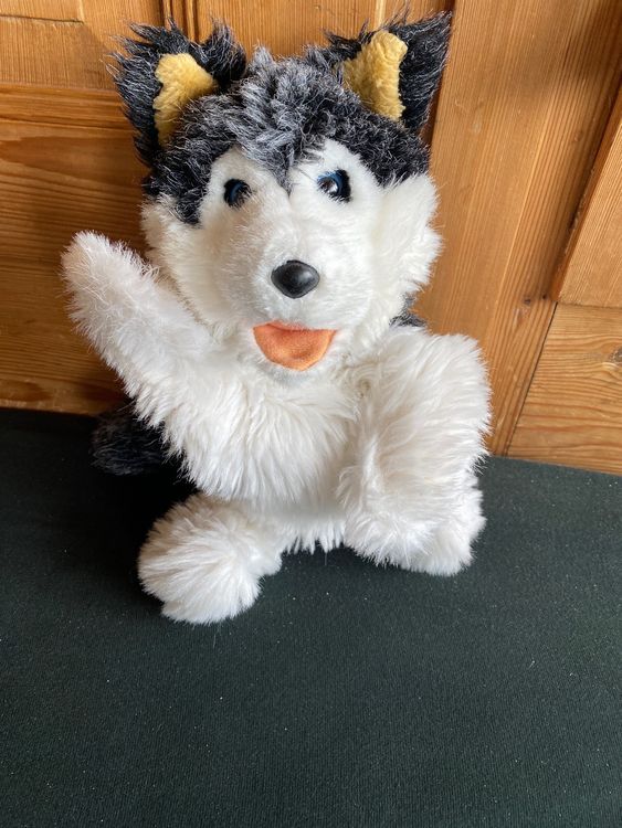 Handpuppe Hund Husky Plüschtier | Acheter sur Ricardo