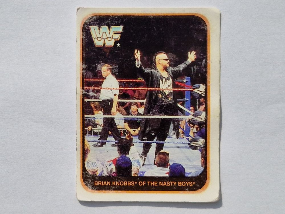 World Wrestling Brian Knobbs of the Nasty Boys Trading Cards (Gebraucht ...