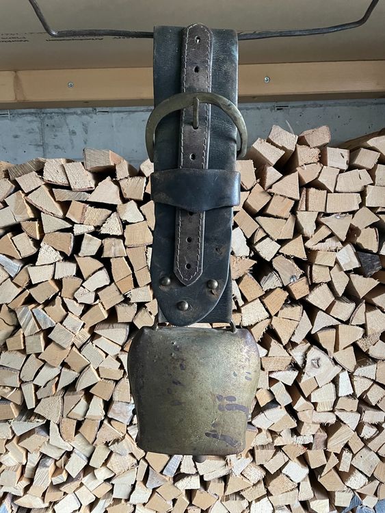 Treichel ab CHF 1.- (Gebraucht) in Altdorf für CHF 26 – mit Lieferung ...
