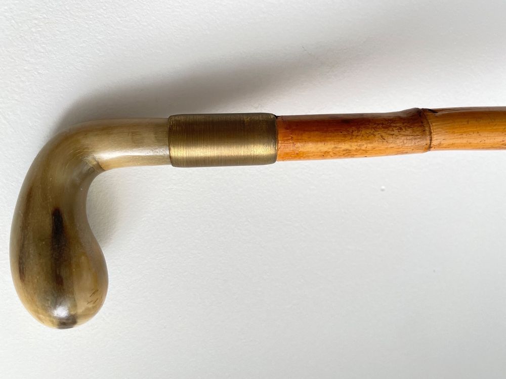 Bastone antico bambù/osso (Gebraucht) in Breganzona für CHF 40 – mit ...