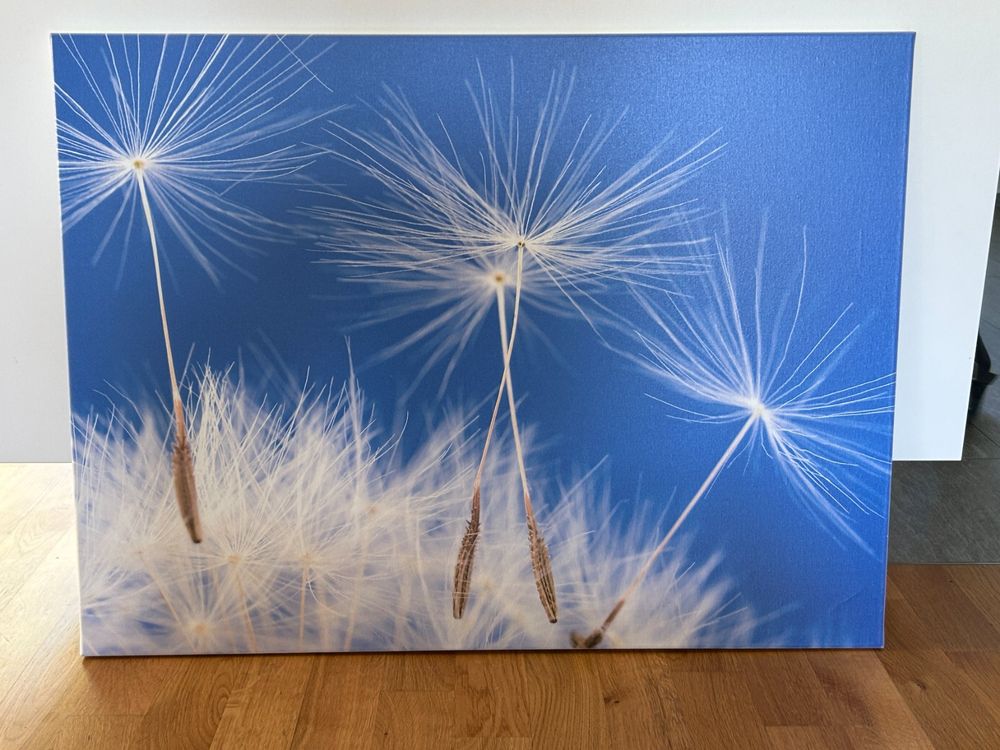 Grosses Leinwand-Bild auf Holzrahmen, 80 x 60 x 2 cm, Unikat | Kaufen auf Ricardo