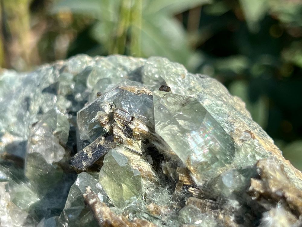 CH-Stufe aus GR mit Epidot, Amiant, Grünquarz, Bergkristall (Gebraucht ...