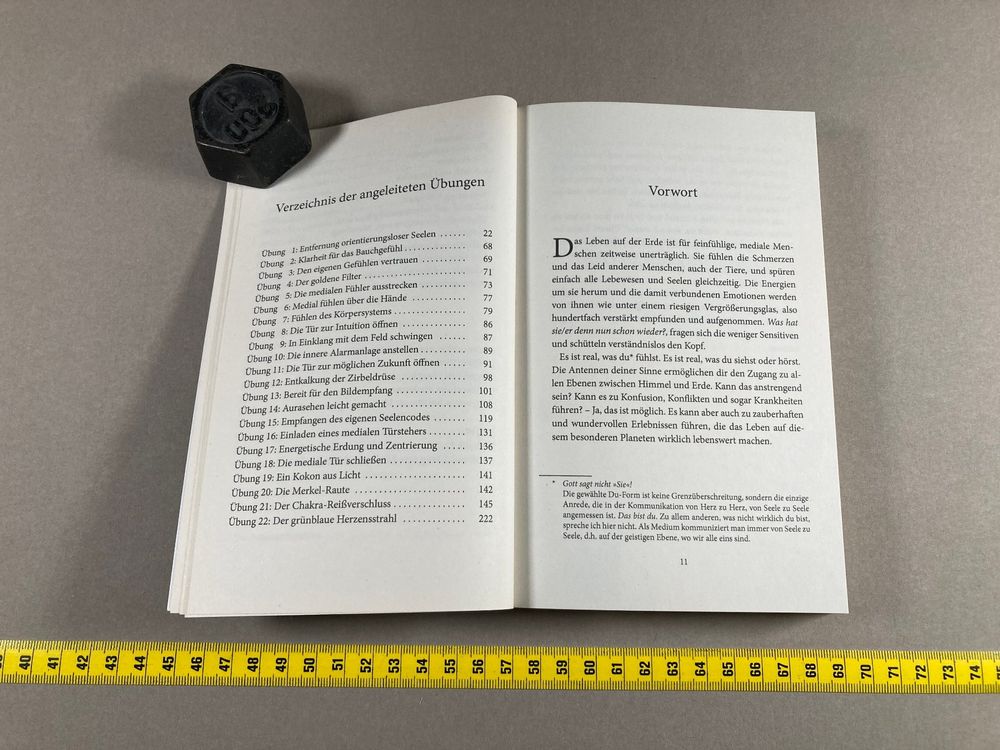 Eva-Maria Mora: Medium zwischen Himmel und Erde (Gebraucht) in Lenzburg ...