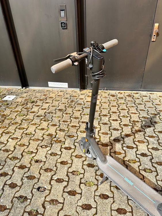 Segway ninebot KickScooter Max G30D (Gebraucht) in Jona für CHF 451 ...