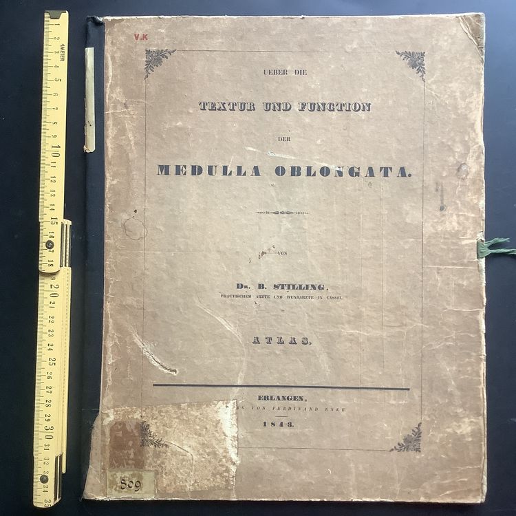 Bildtafeln: Dr. Stilling – Medulla Oblongata, 1843 Original (Gebraucht ...