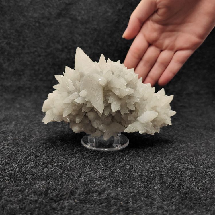 CALCIT auf BLEIGLANZ, 72 mm, BITERMINIERT und GEMINIERT! | Kaufen auf ...