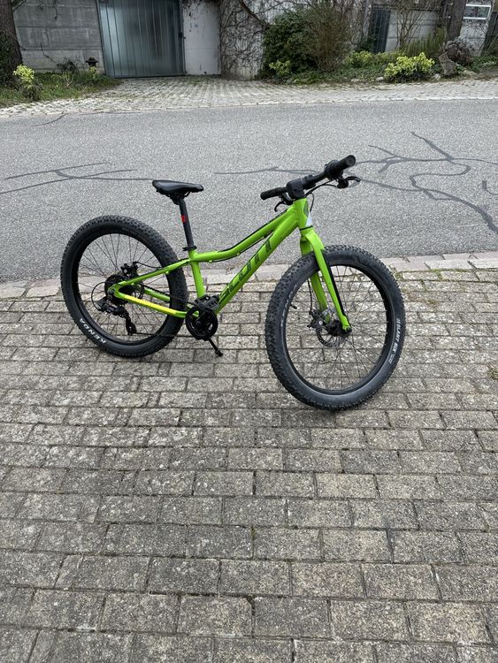 Scott Roxter 24 Jr Disc - aus erster Hand (Gebraucht) in Kerzers für ...