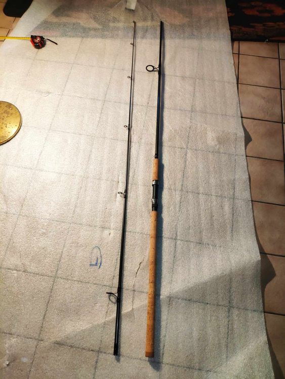 BERKLEY Lightning Rod™ Spinning 90-120 gr / 3.00 meter neu | Kaufen auf ...