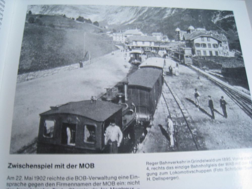 Die Berner-Oberland-Bahnen, Hans Häsler / Minirex-Verlag (Gebraucht) in ...