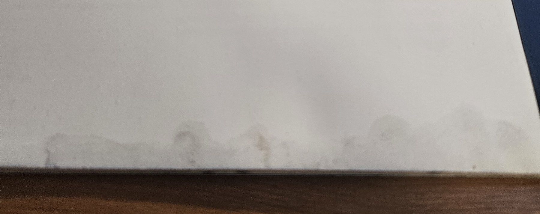 TINTIN Tint'interdit, pastiches et parodies (B.ETAT--V.PHOTO (D ...