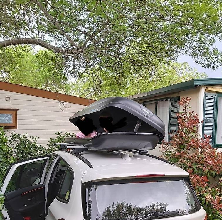 Dachbox mieten statt kaufen (D'occasion) à Chur pour CHF 5 – retrait ...