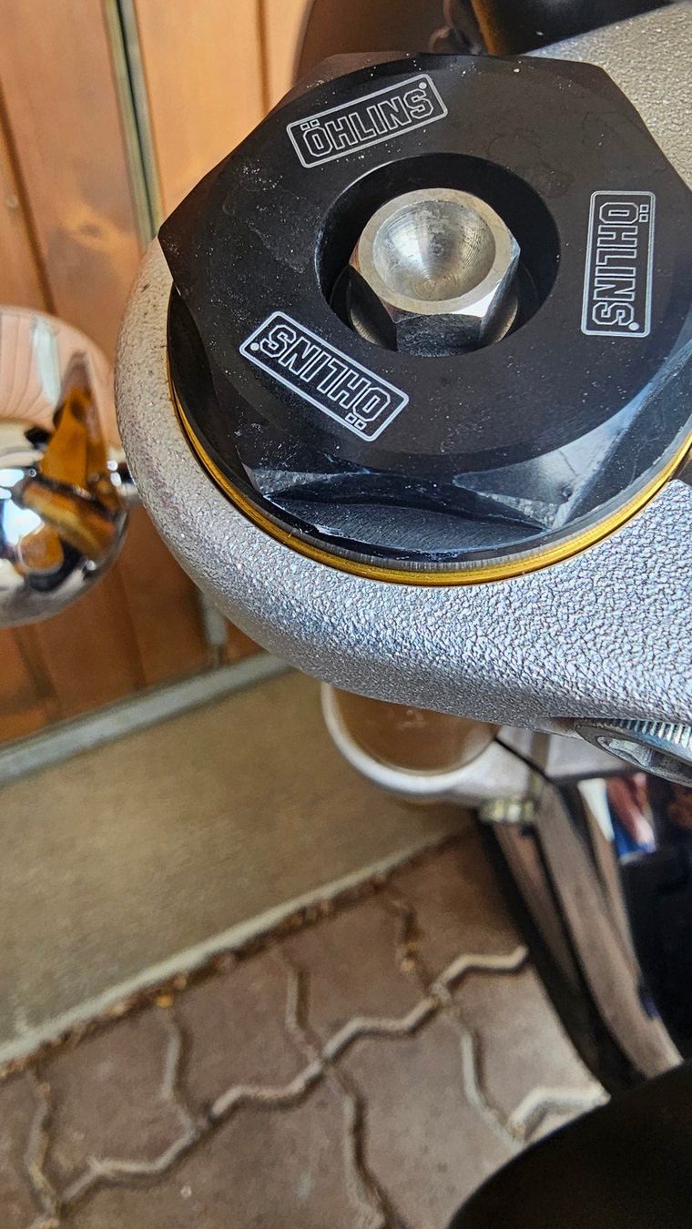 Honda Monkey 125, Jg. 2019, gelb - Top Zustand (Gebraucht) in Boniswil für CHF 2999 – nur ...