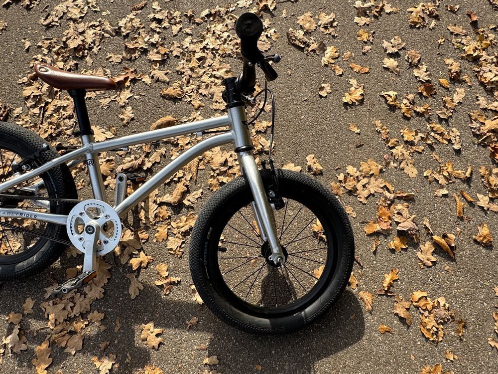 Early Rider Belter 16" (Gebraucht) in Effretikon für CHF 200 – nur ...