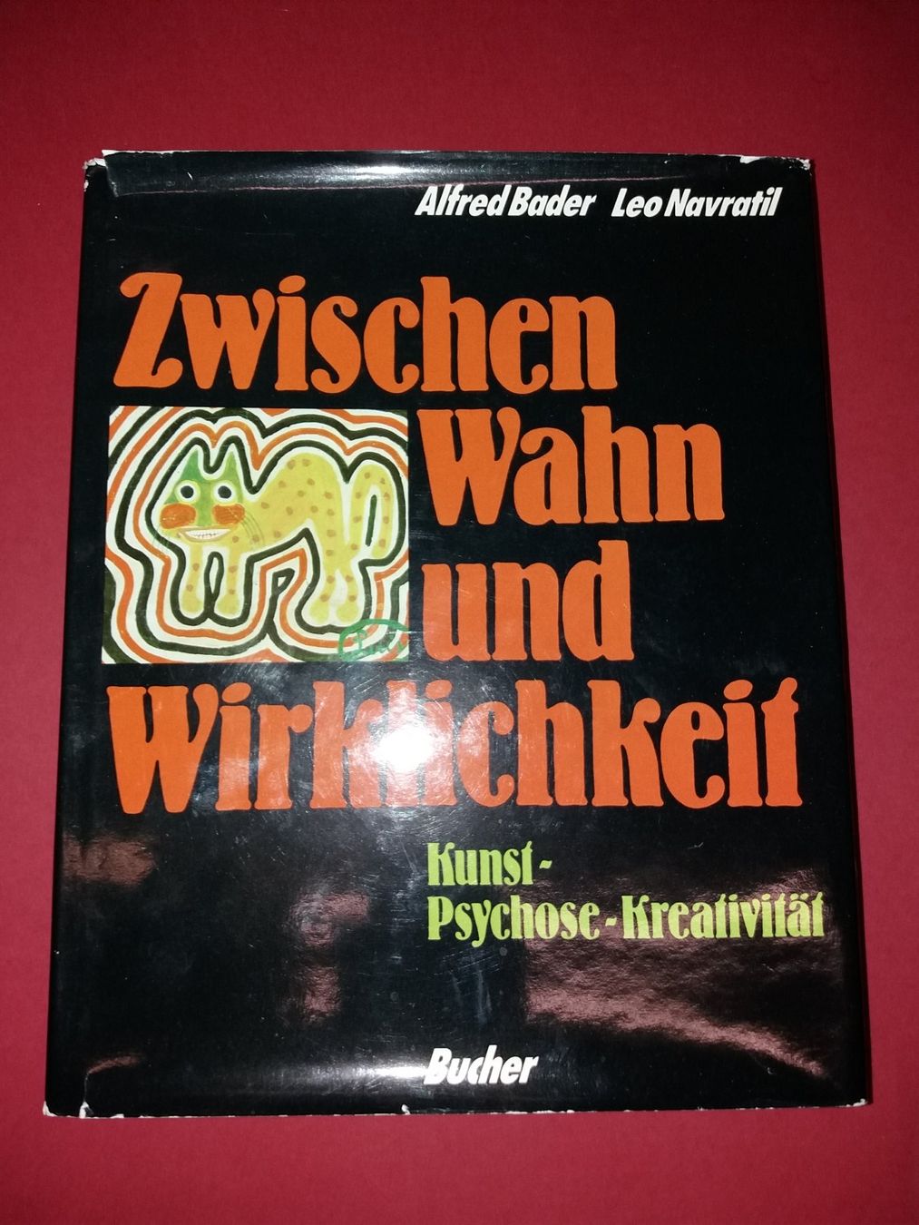 KUNST Art Brut Wölfli Louis Soutter Johann Hauser U.andere (Gebraucht ...