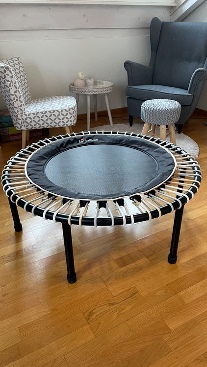 BELLICON Trampolin (Neu (gemäss Beschreibung)) in Hochfelden für CHF ...