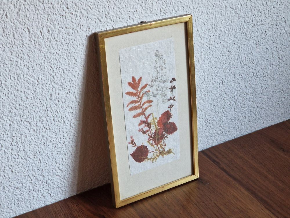 Vintage Bild Trockenblumen goldener Rahmen Shabby Chic Deko (Gebraucht ...