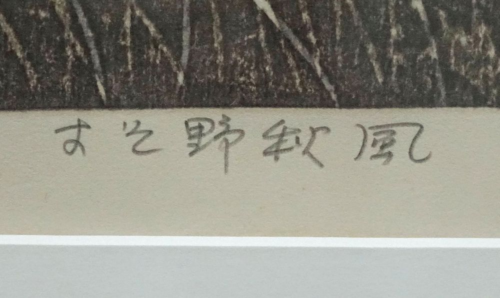 Japan Holzschnitt Hideo Hagiwara Fuji (Neu (gemäss Beschreibung)) in Winterthur für CHF 200 ...