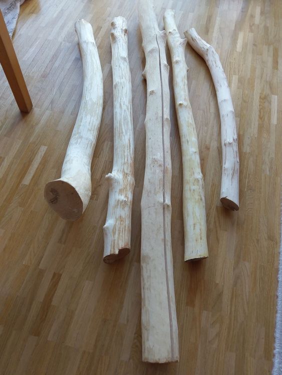 Ahorn, Holz, Ast, Brett, Drechselholz | Kaufen auf Ricardo