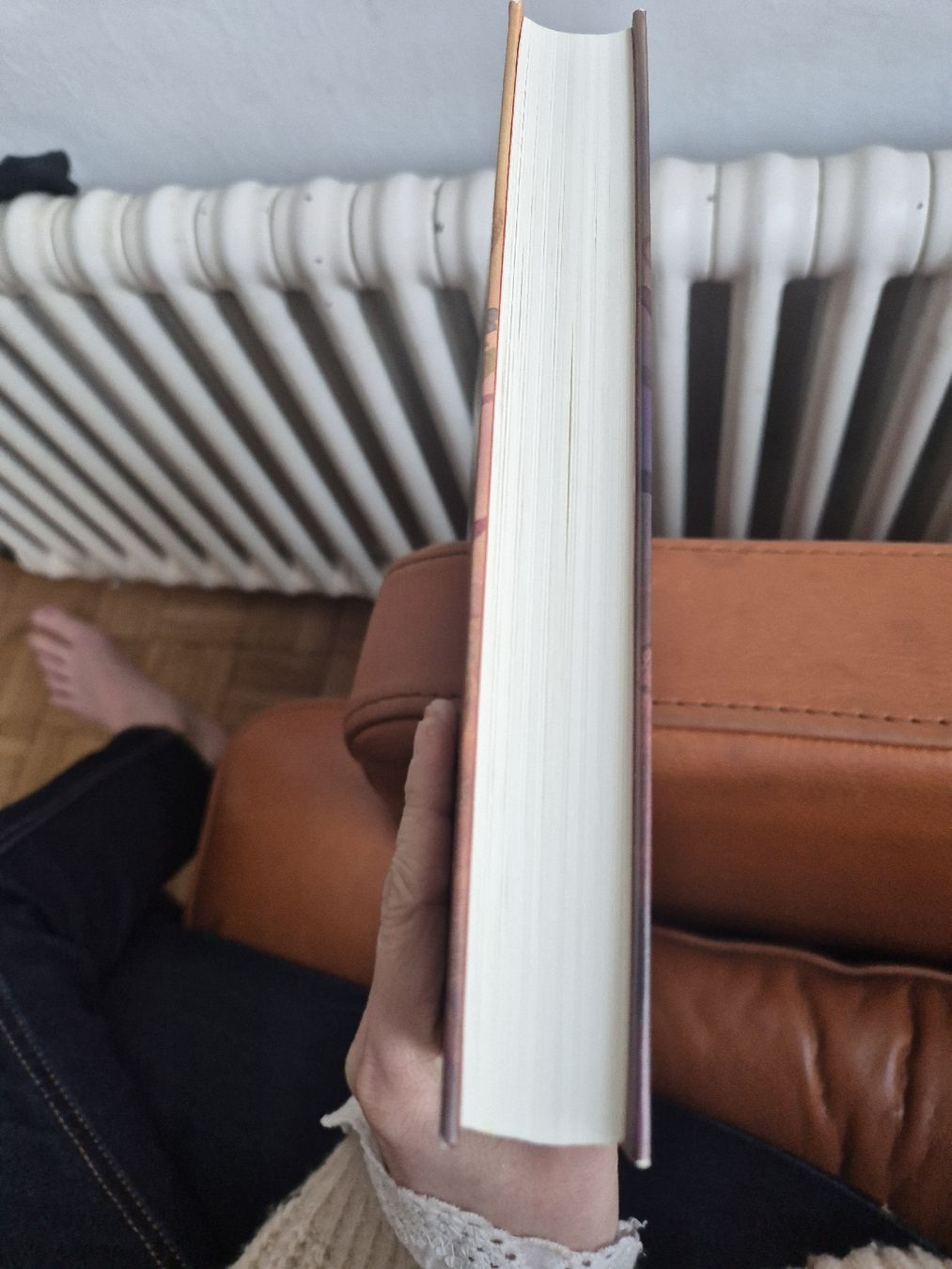 Silverhorse Tanz mit dem Wind, Julie Wald, Oetinger Verlag (Neu (gemäss ...