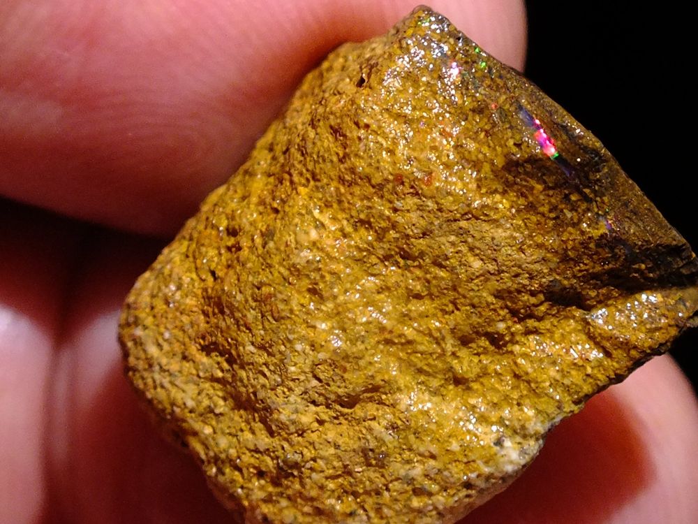 BOULDER ROH OPAL 23 Karat Gebot 1.- Elektrisch Rot Pin feuer (Neu und ...