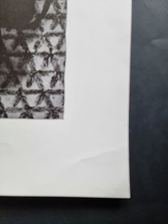 MAX HUNZIKER ORIGINAL ZINKÄTZUNG (LITHOGRAPHIE) SIGNIERT (Gebraucht) in Gersau für CHF 38 – mit ...