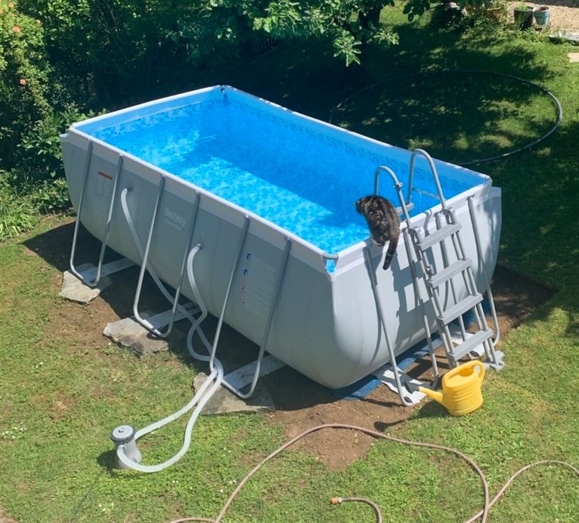 Bestway Pool (Gebraucht) in Bern für CHF 590 – nur Abholung auf Ricardo kaufen