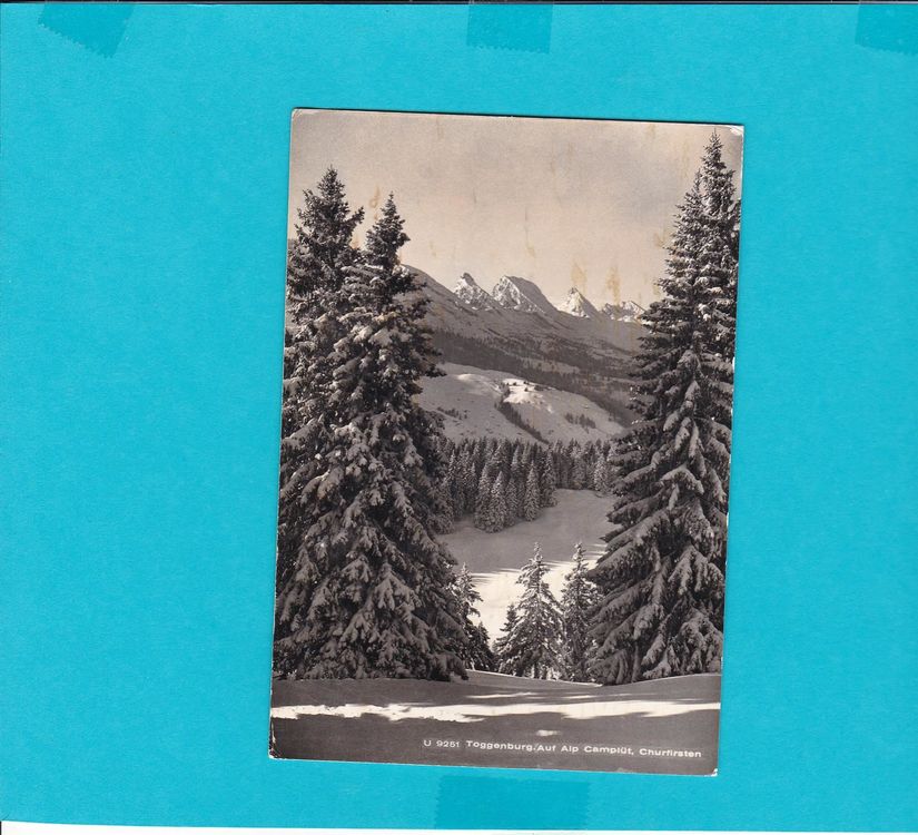 Toggenburg, auf Alp Gamplüt-Churfirsten (Gebraucht) in St. Peterzell für CHF 2 – mit Lieferung ...