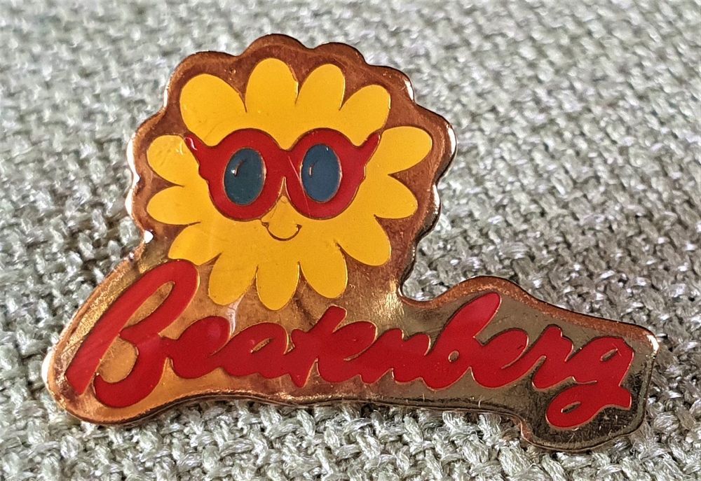 B894 - Pin Beatenberg Logo Emblem Sonne (Gebraucht) in Reinach BL für ...