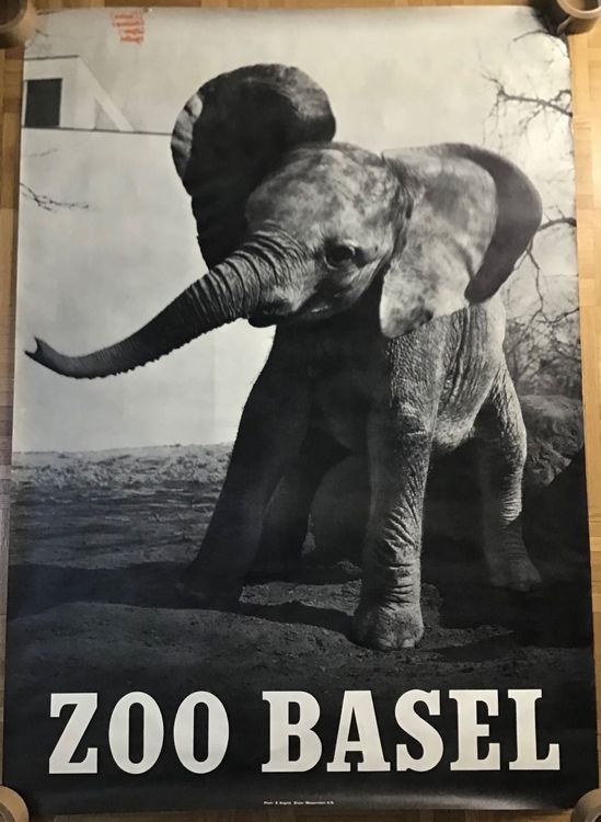 Grosse ZOO Basel Plakat (Gebraucht) in Root für CHF 30 – mit Lieferung ...