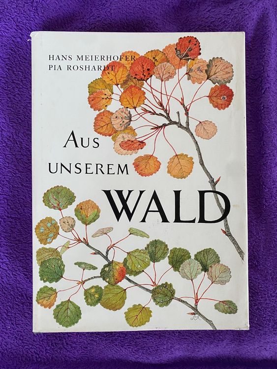 aus unserem Wald | Kaufen auf Ricardo