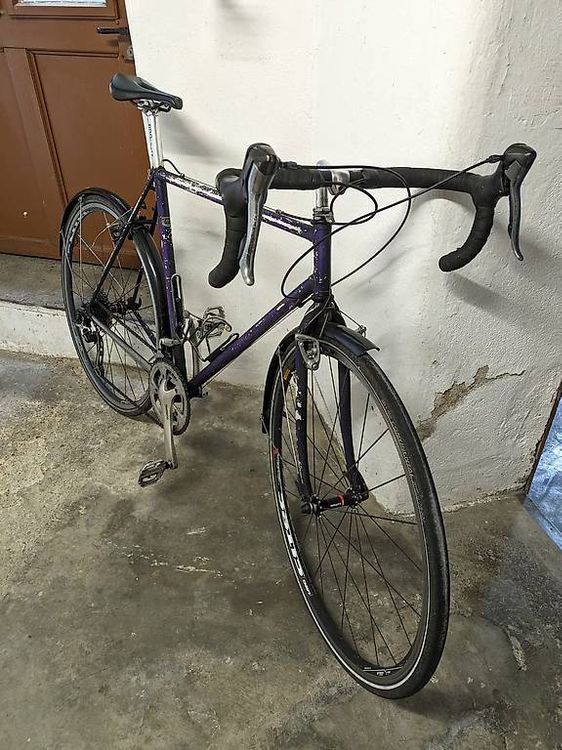 Pinarello Promenade mit Citec Trekking Laufrädern Randonneur (Gebraucht ...