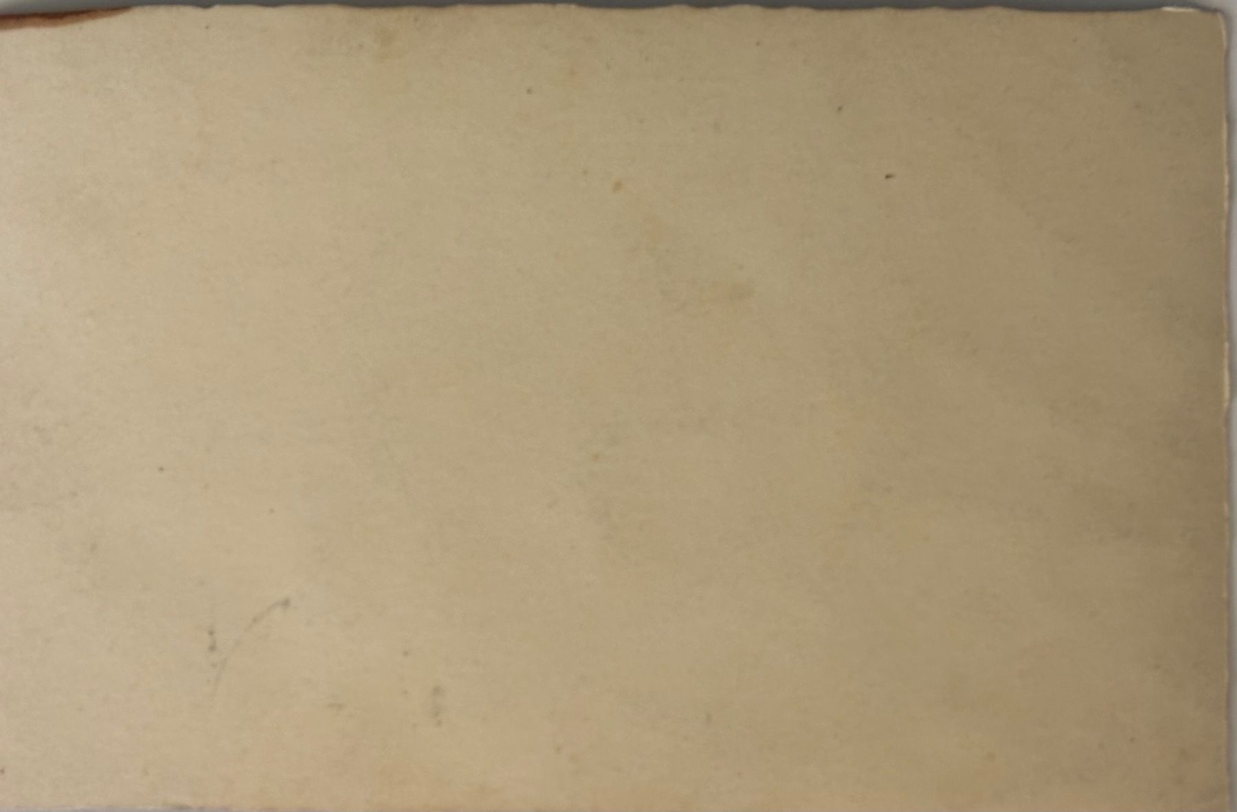 Fotokarte Wilhelm Pleyer, Zürich, Mann, Hut, Mode, Schnauz (Gebraucht ...