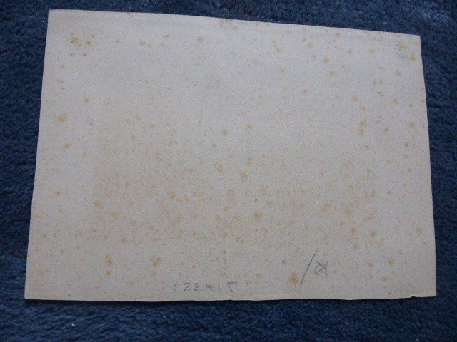 Melchtal,OW,Brown,Harling,Dorf,Leute,Stahlstich,1838 (Gebraucht) in ...