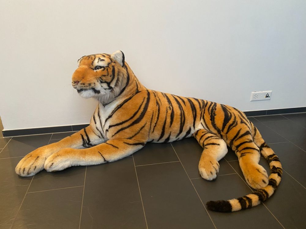 Lebensgrosser Plüsch-Tiger (Gebraucht) in Bassersdorf für CHF 70 – nur Abholung auf Ricardo kaufen