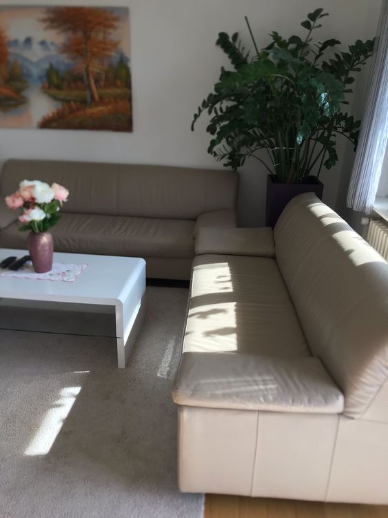 Leder Sofa 3er + 2er | Kaufen auf Ricardo