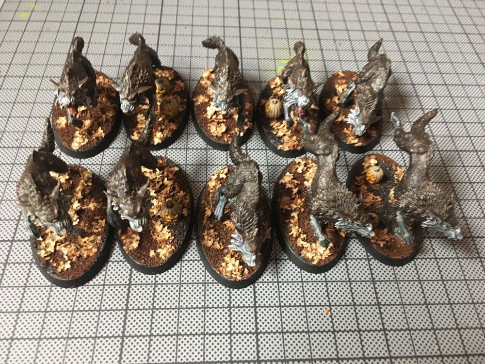 Warhammer AOS SbGL - Dire Wolves | Kaufen auf Ricardo