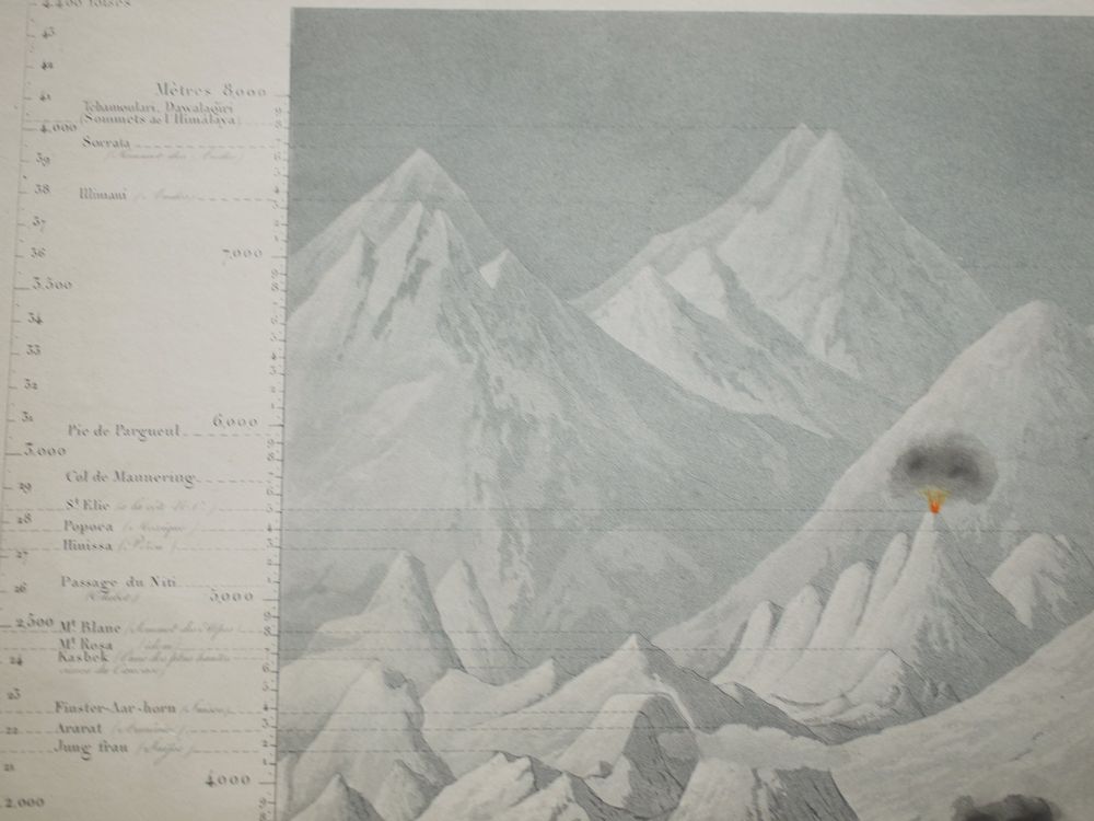 Tableau Comparatif De La Forme Et De La Hauteur.... (D'occasion) à ...