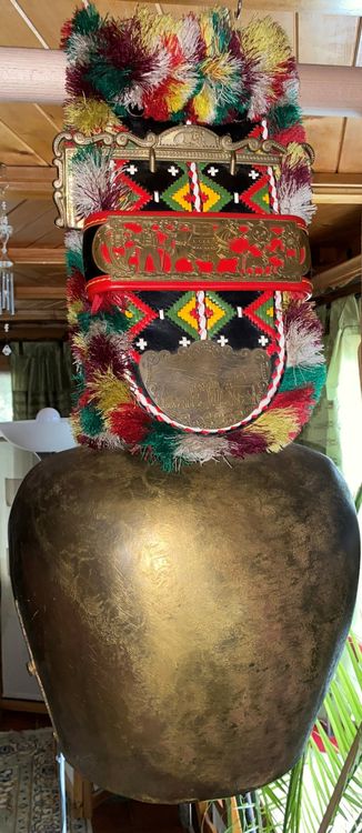 Appenzeller Treichel (Gebraucht) in für CHF 1200 – mit Lieferung auf ...