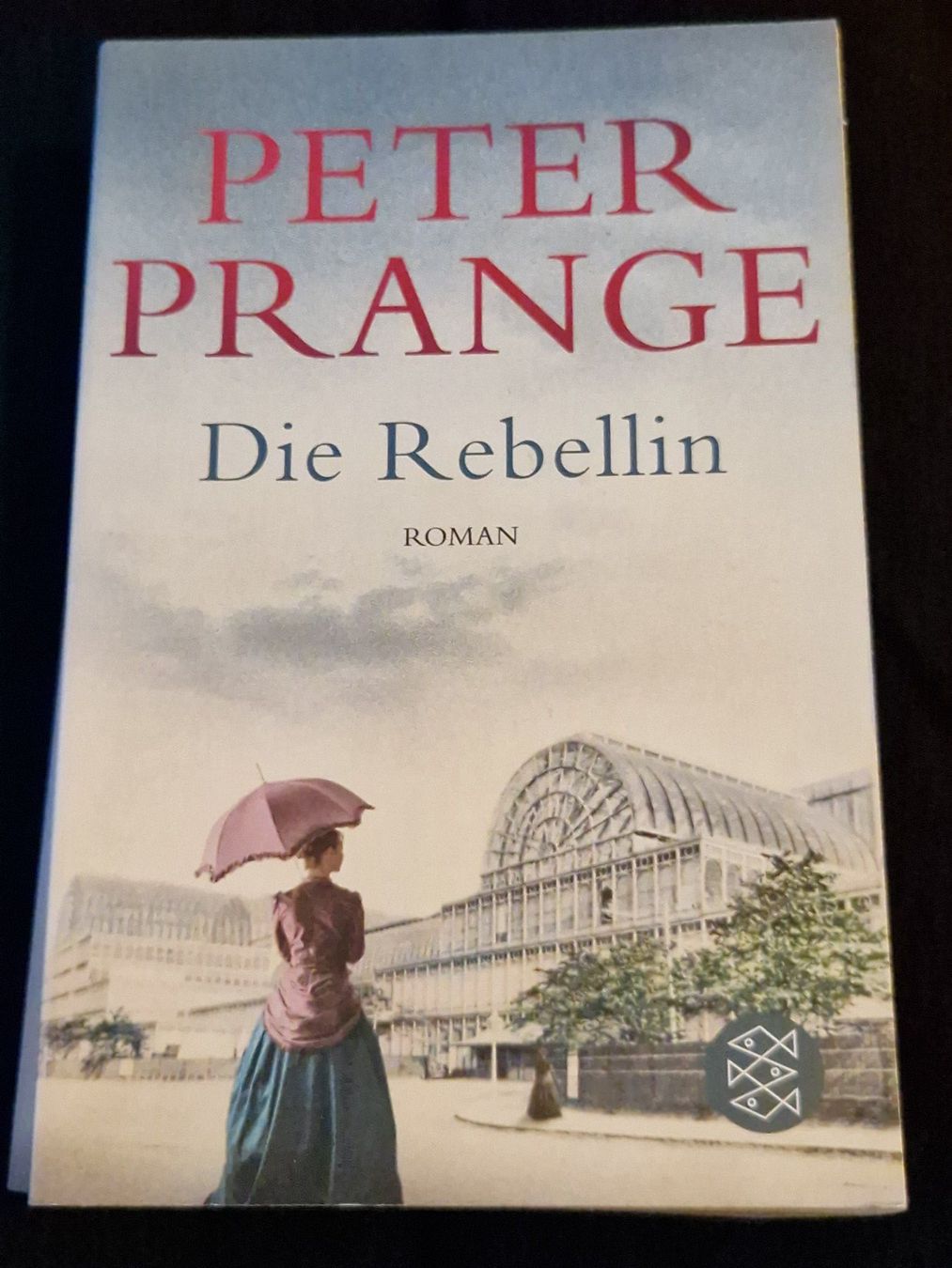 Peter Prange Die Rebellin Viktorianisches London Historisch (Gebraucht ...