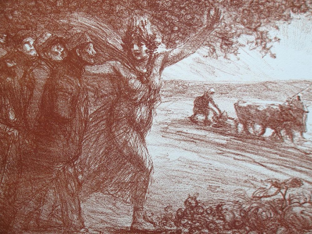 22_m BODMER Paul: Der Pflug (Gebraucht) in Bern für CHF 99.9 – mit ...