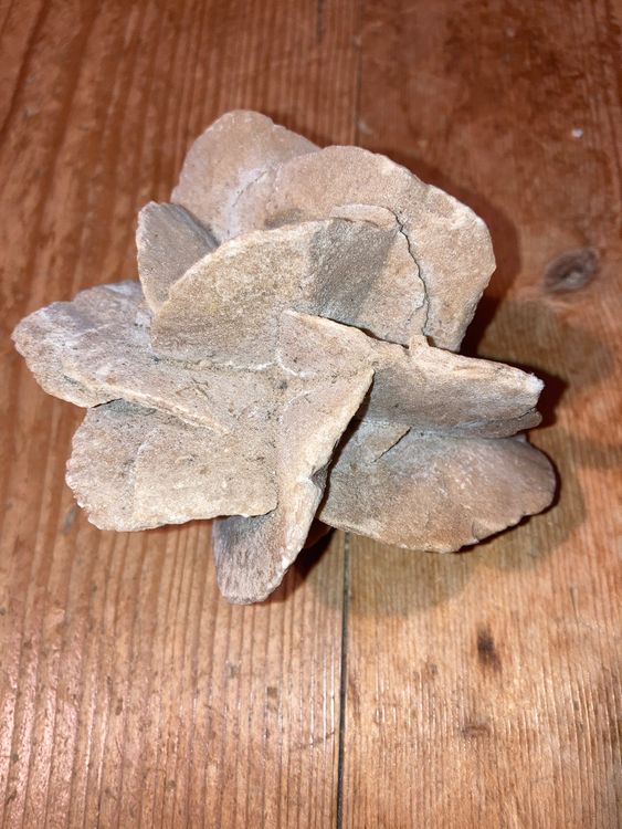 Sandrose - Naturkunst pur! (Gebraucht) in Zürich für CHF 2 – nur ...