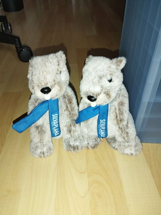 Murmeltier Niculin (Gebraucht) in Biberist für CHF 6 – mit Lieferung ...