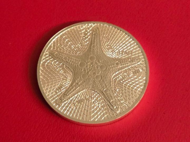 1 oz. Fine Silver 999.9 Silbermünze Cookislands 2021 (Neu (gemäss ...