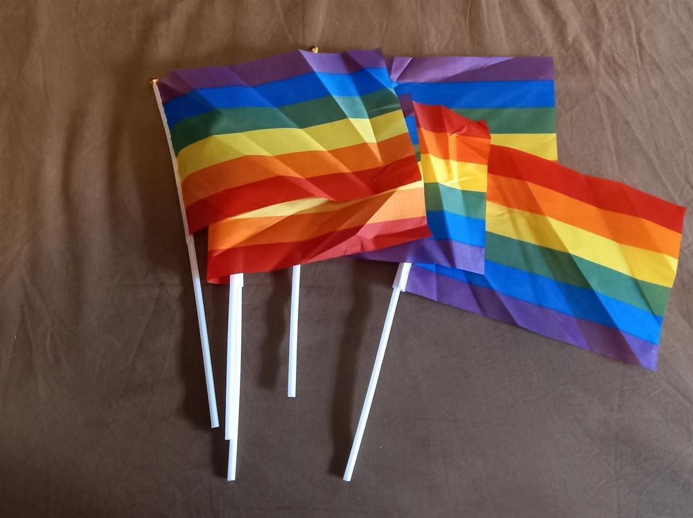 20x Mini LGBT Flaggen mit Stange - Mini drapeaux LGBT (Neu und ...