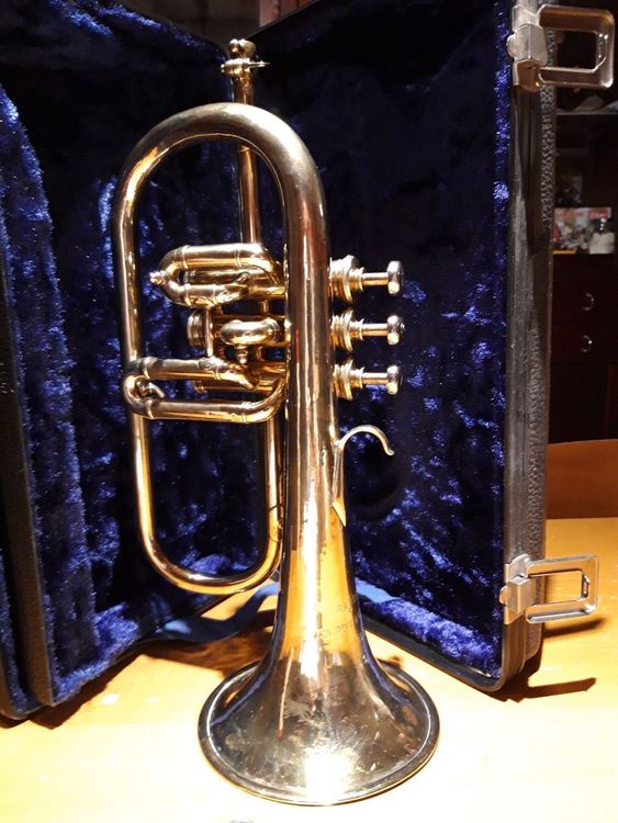 Bugle (D'occasion) à Poliez-le-Grand pour CHF 172 – avec livraison ...