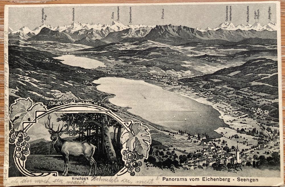 Panorama vom Eichenberg -Seengen | Kaufen auf Ricardo