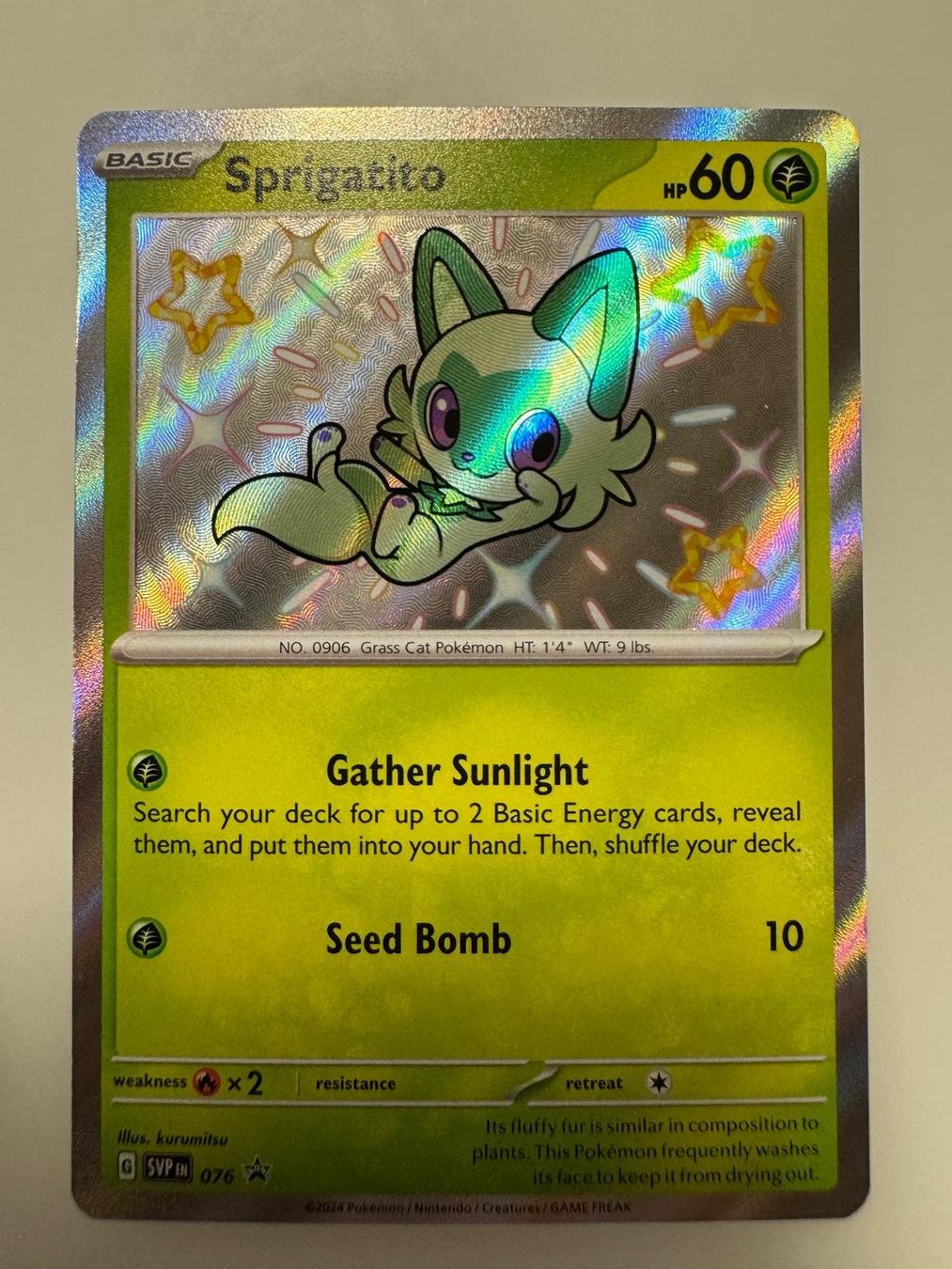 Sprigatito | Black Star Promo | SVP 076 | EN (Gebraucht) in ...