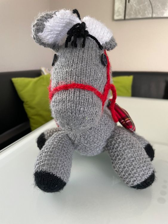 ESEL ,handgestrickt grau (Gebraucht) in Pfeffingen für CHF 7 – nur ...